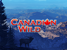 Canadian Wild Slot Game | Play Canadian Wild Slot Demo Online