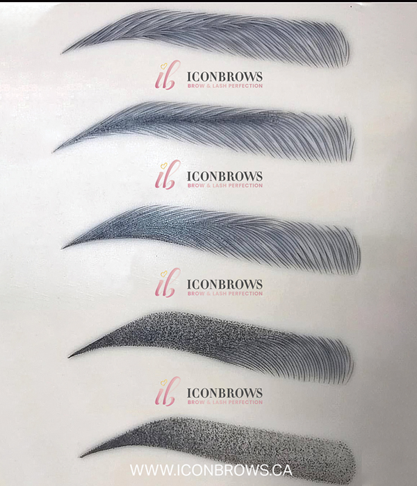 Complete PMU Certified Training Course Package in Toronto, Canada