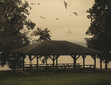 11 Freaky Quotes That Will Send Chills Down Your Spine