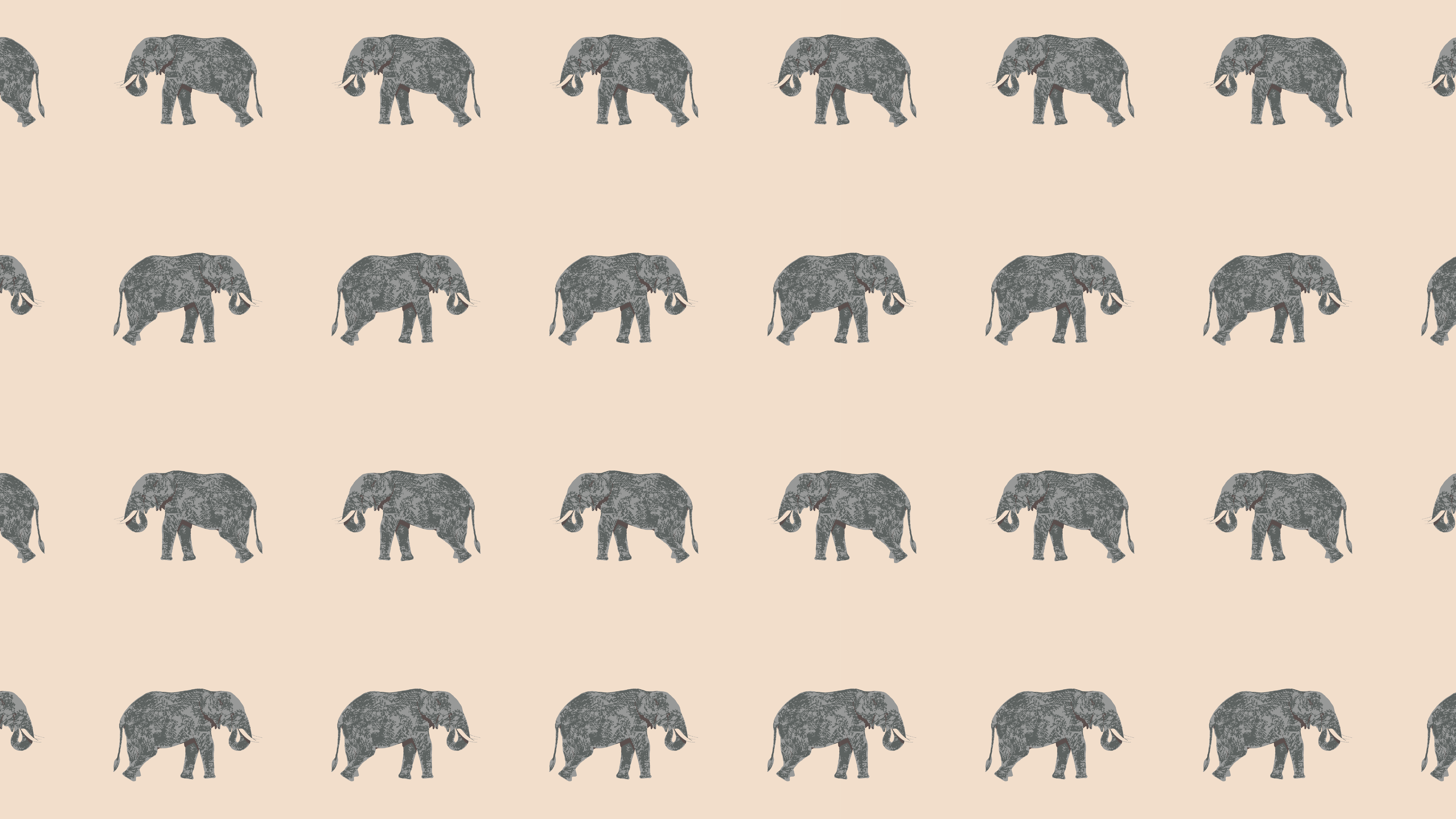 Animal 02: Elephant Wallpaper - Animal Wallpaper | Lick
