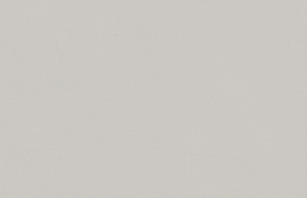 Grey 03: Warm Light Grey Paint - Paint Sample | Lick