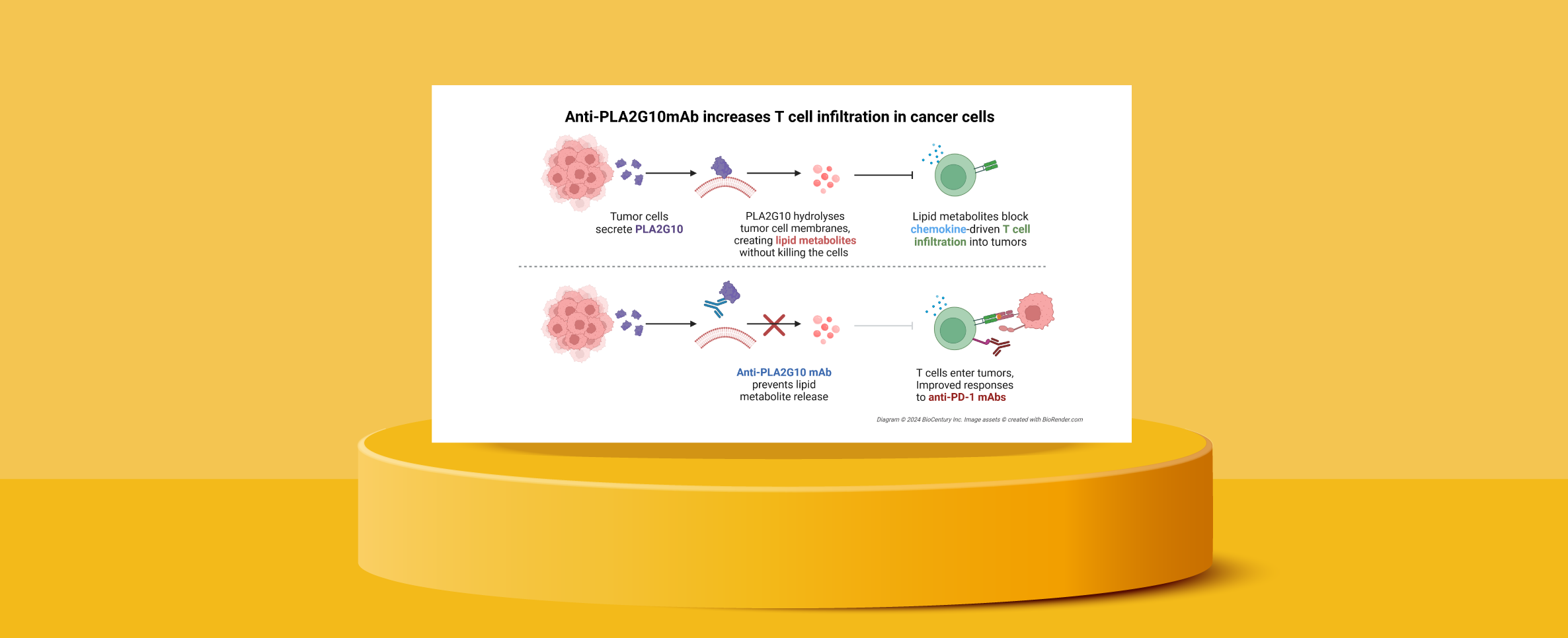 BioCentury - Science spotlight: Tumor T cell restriction mechanism ...