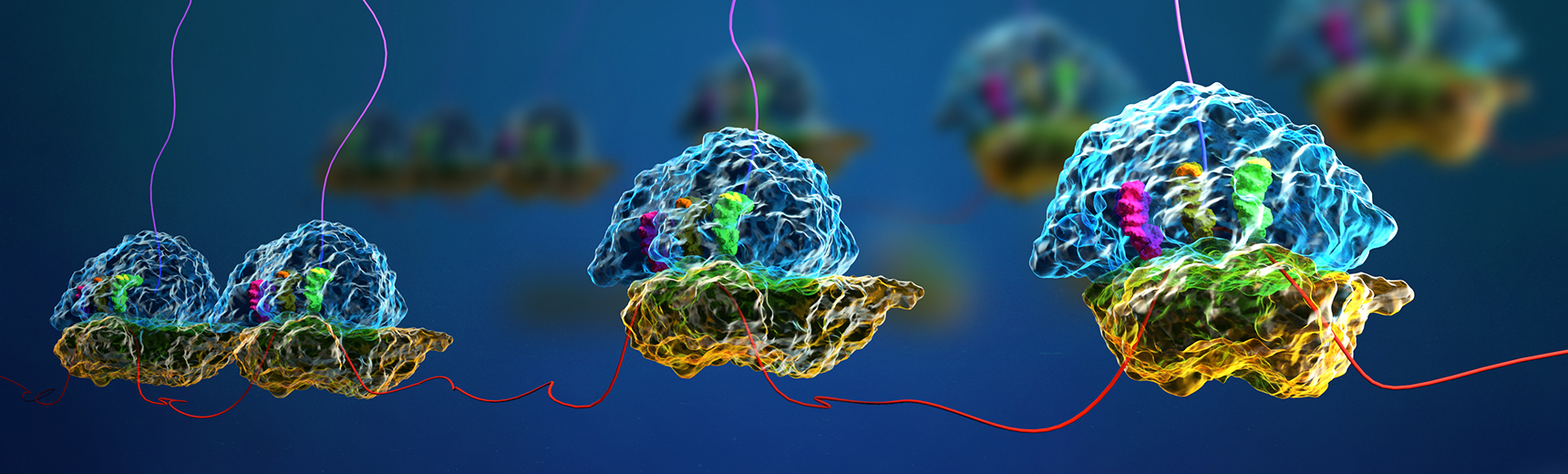 BioCentury - Anima opens new target space in translational control