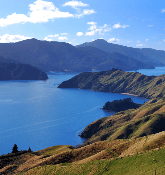 Generate | Generate Managed Funds make investing simple and stress-free.