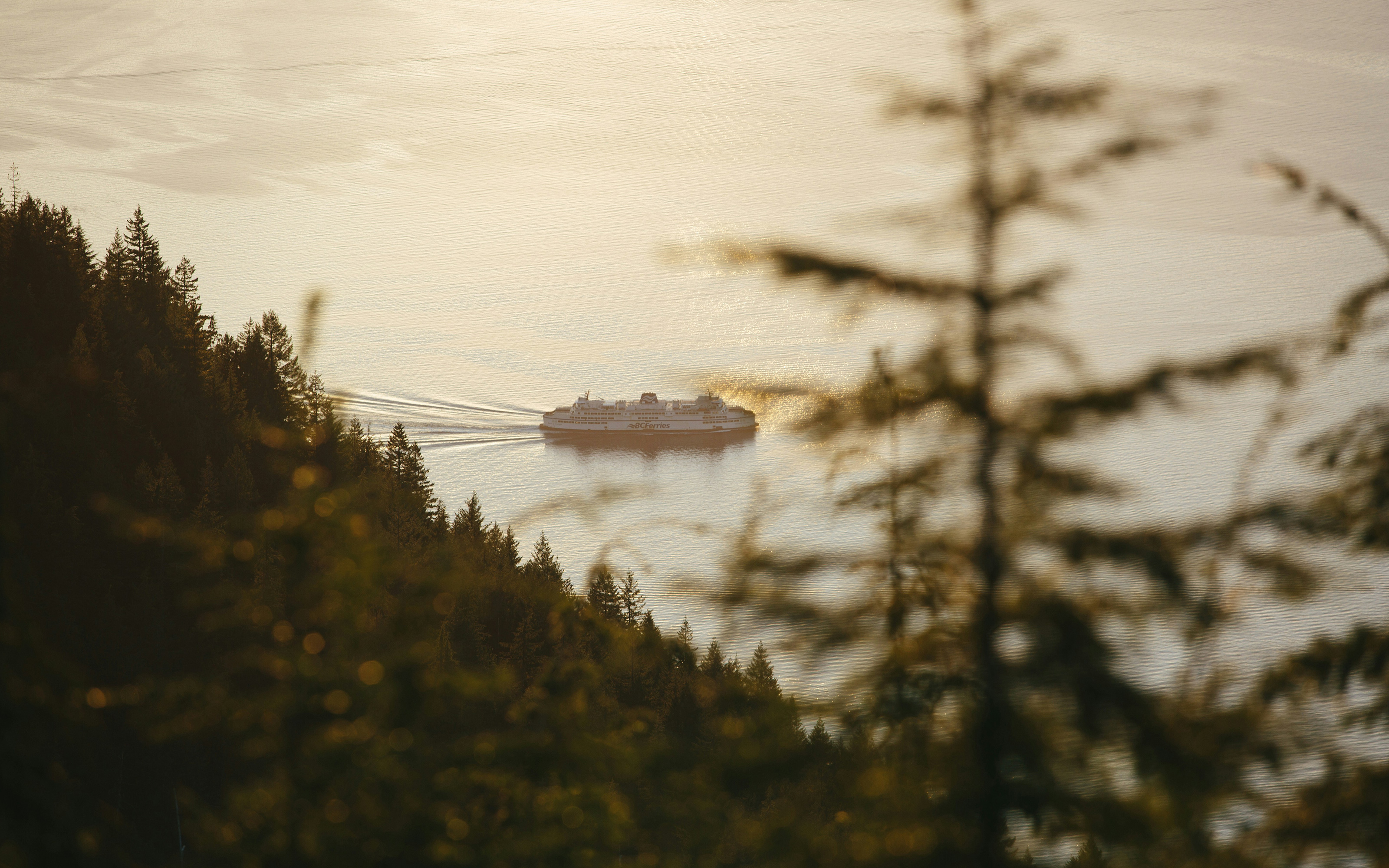 the victoria rennie review | August 2024