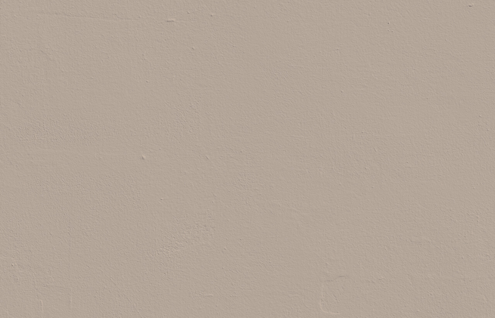 Beige 05: Earthy Brown - Matt Interior Paint | Lick