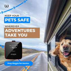 Progressive Insurance requiring Proof of Garaging Address - General RV ...