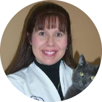 About - Tamara Shearer - Chi University