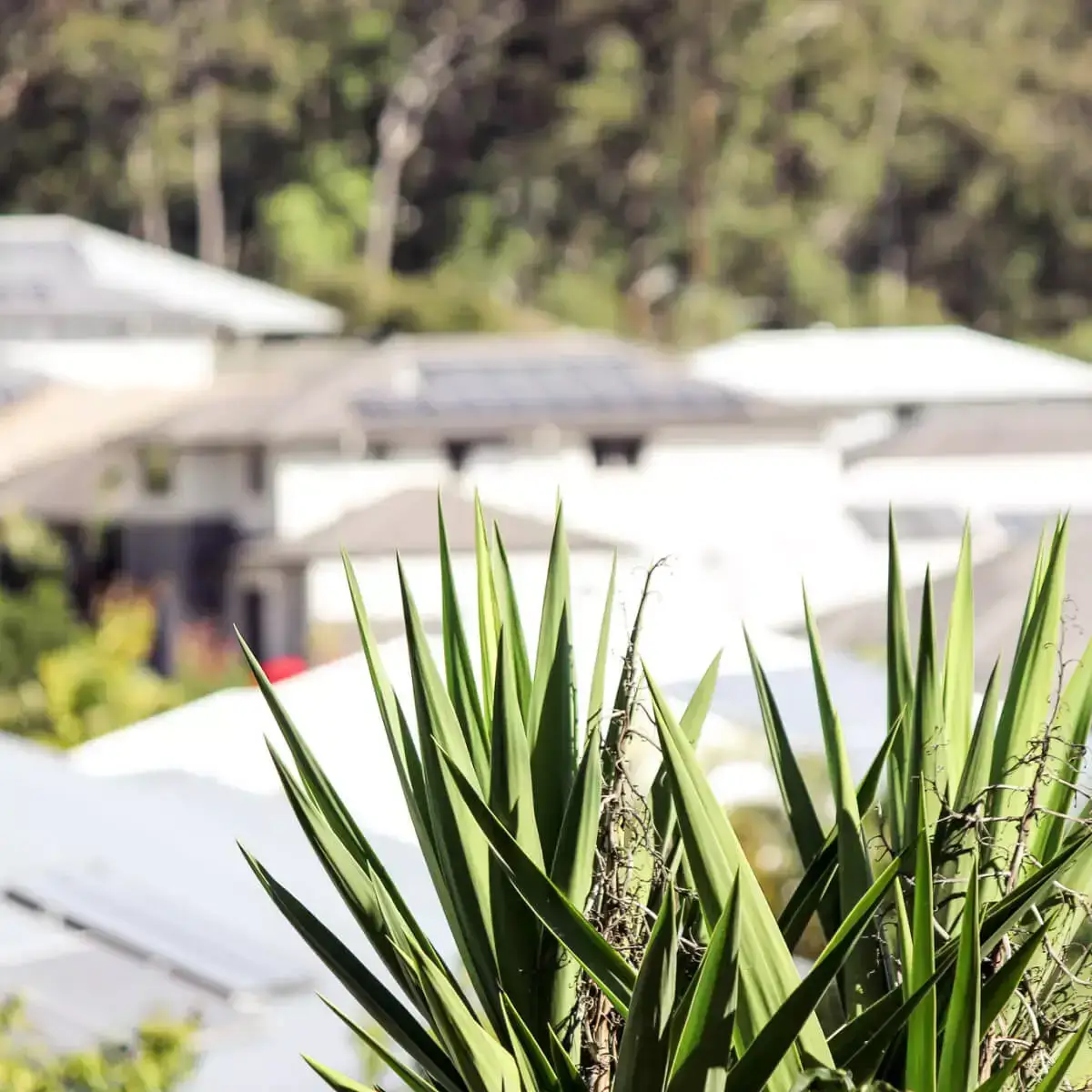 Everything you need to choose your solar panel system | Brighte blog ...