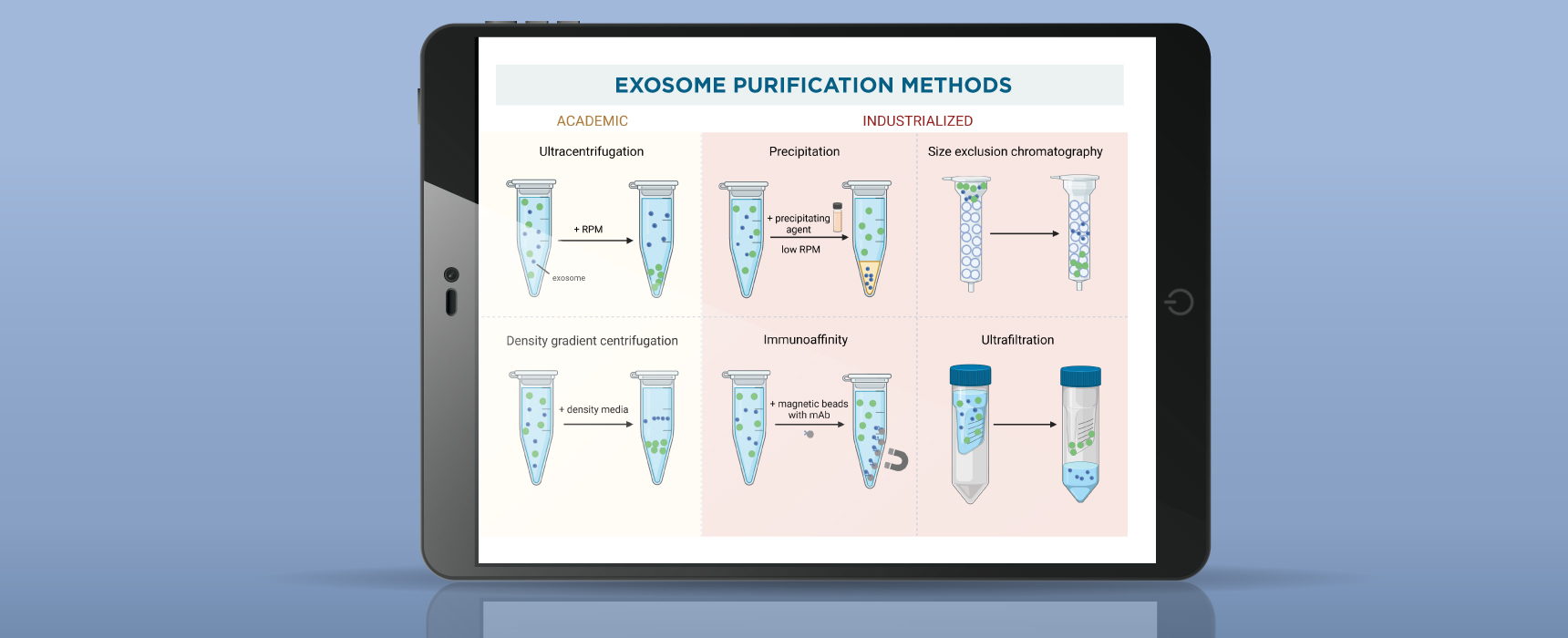 BioCentury - Exosomes: a case study in manufacturing a new modality at ...