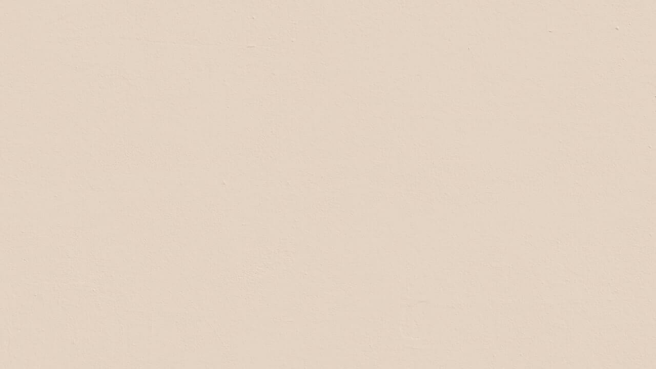 Taupe 03: Earthy Taupe Paint - Matt Emulsion Paint | Lick