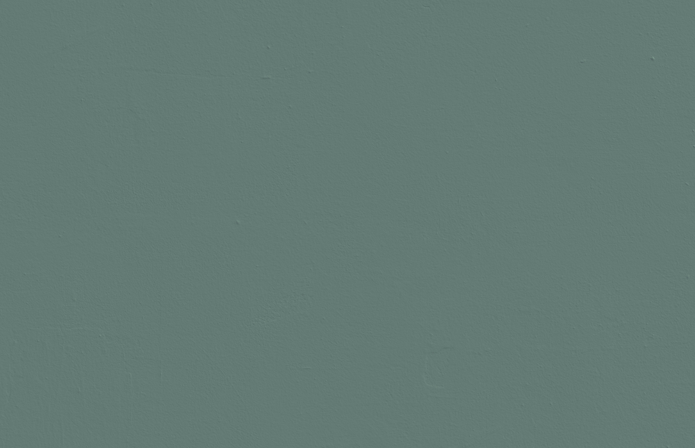 Green 04: Warm Dark Green Paint - Matt Emulsion Paint | Lick