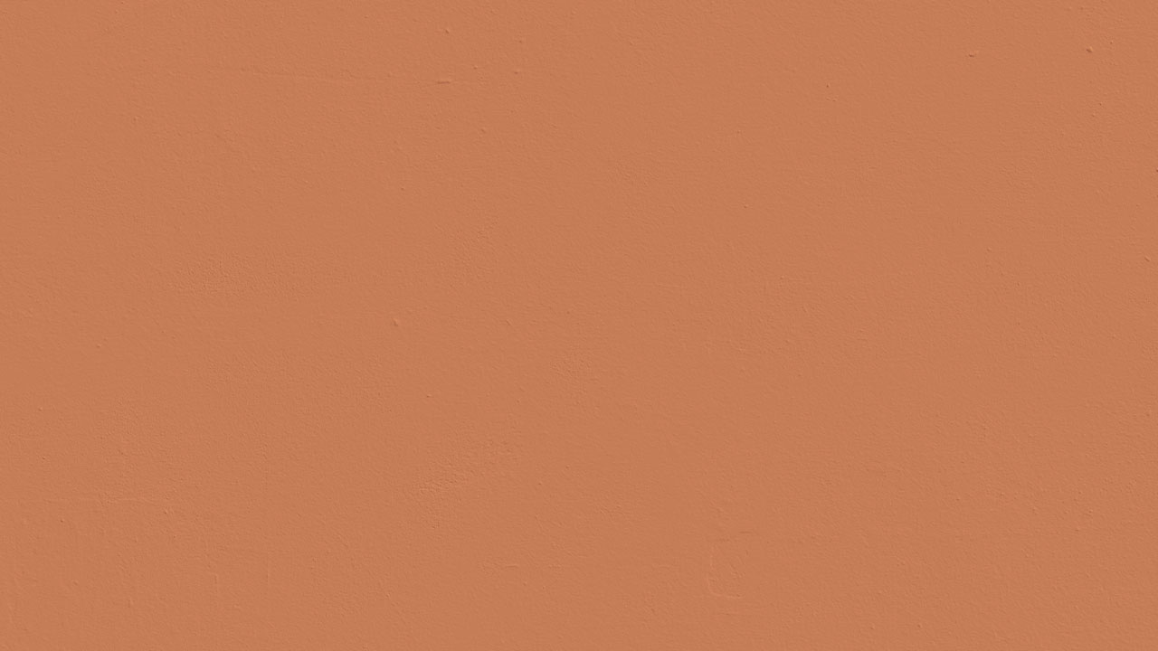 Orange 04: Rust Orange Paint - Peel-and-Stick Sample | Lick