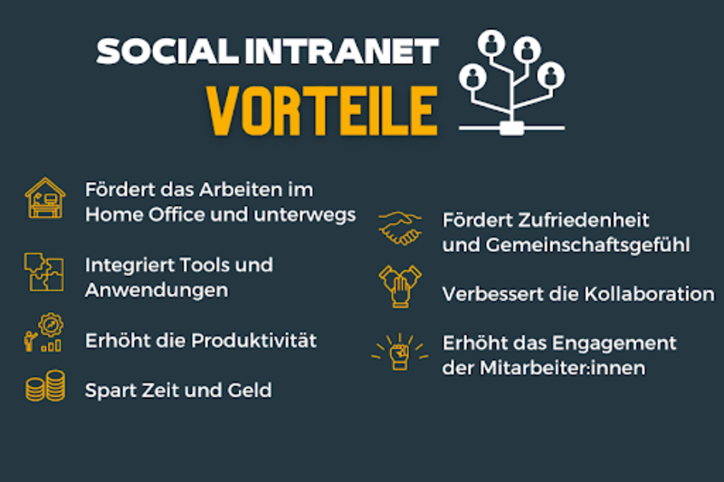 Social Intranet: Beispiele, Grundlagen und Content-Ideen
