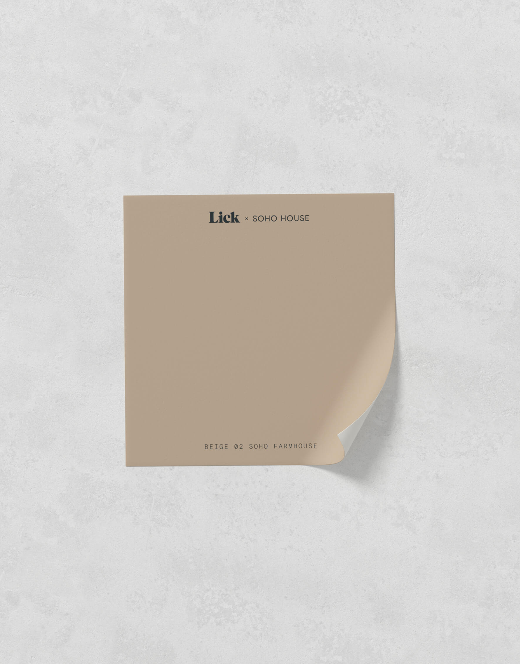 Beige 02: Light Brown Beige Paint - Paint Sample | Lick