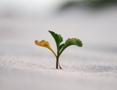 20 Personal Growth Quotes to Inspire Your Journey