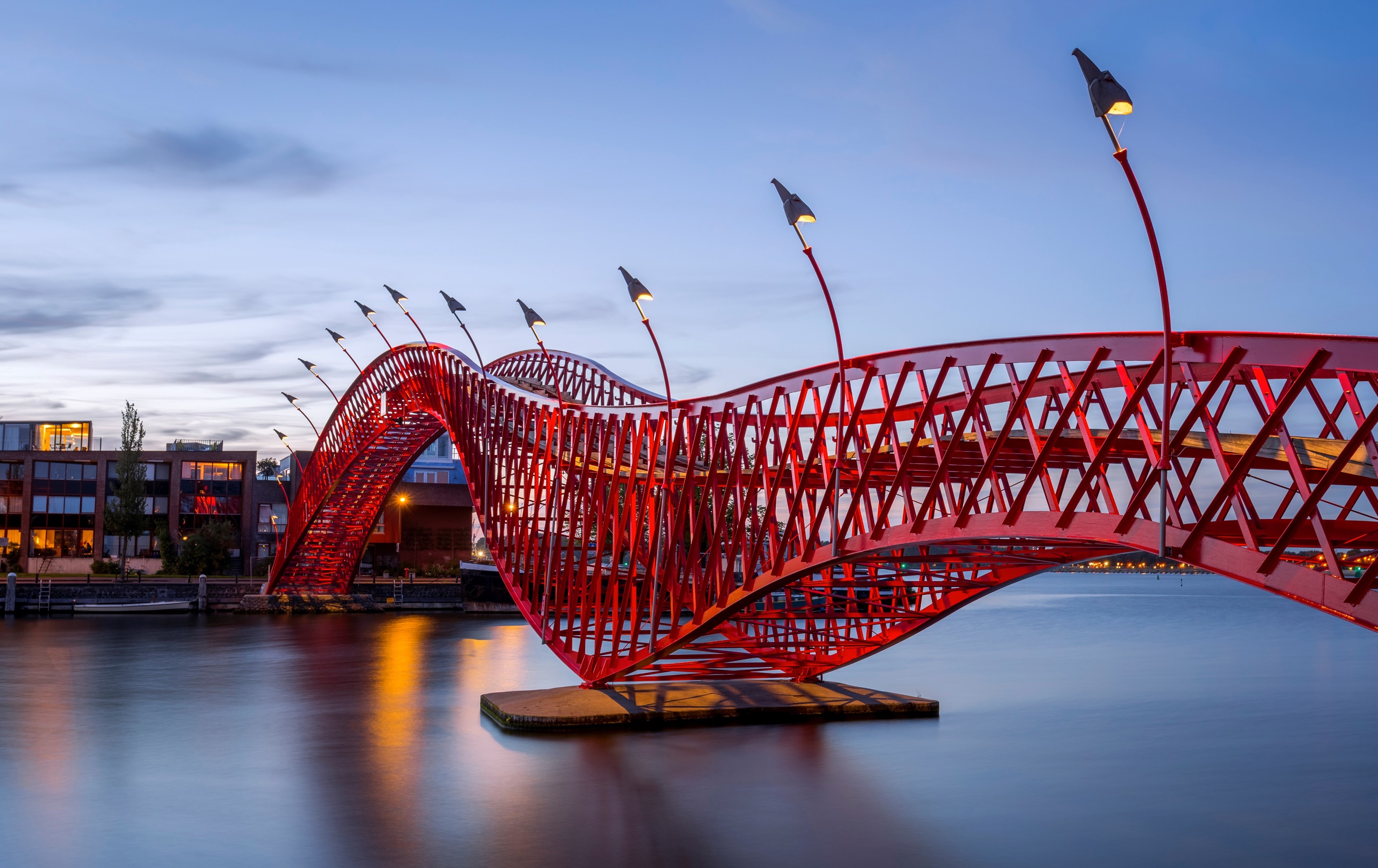 Bridging the Digital Skills Gap