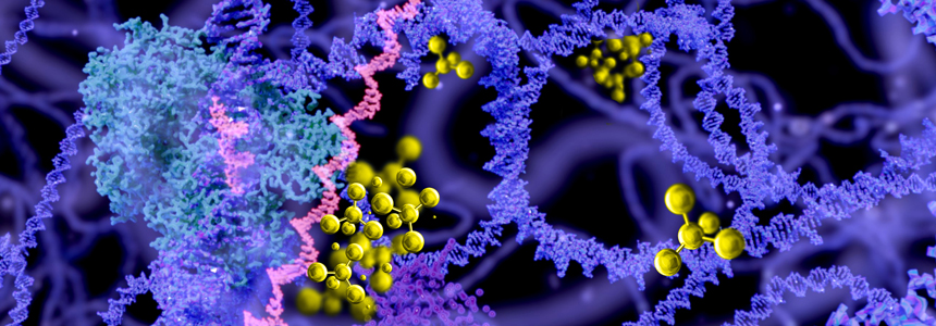 BioCentury - RNA, meet small molecules