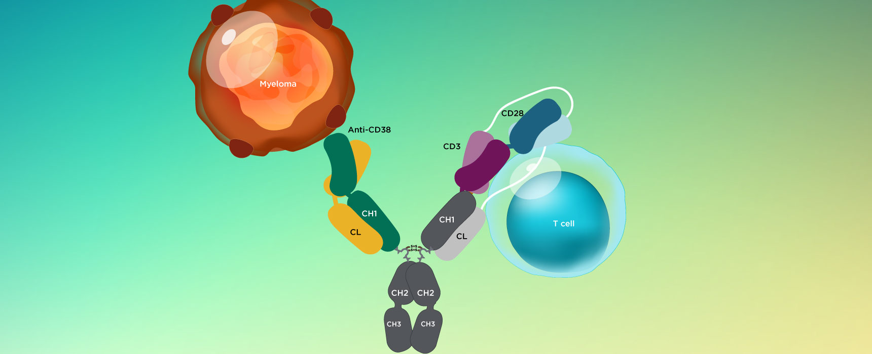 BioCentury - Sanofi adds in home-grown trispecific antibody technology ...