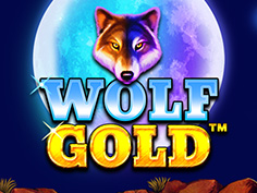 Play Wolf Gold Slot Game Online