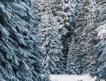 New Beginnings and Fresh Perspectives: Top 10 January Quotes to Inspire ...