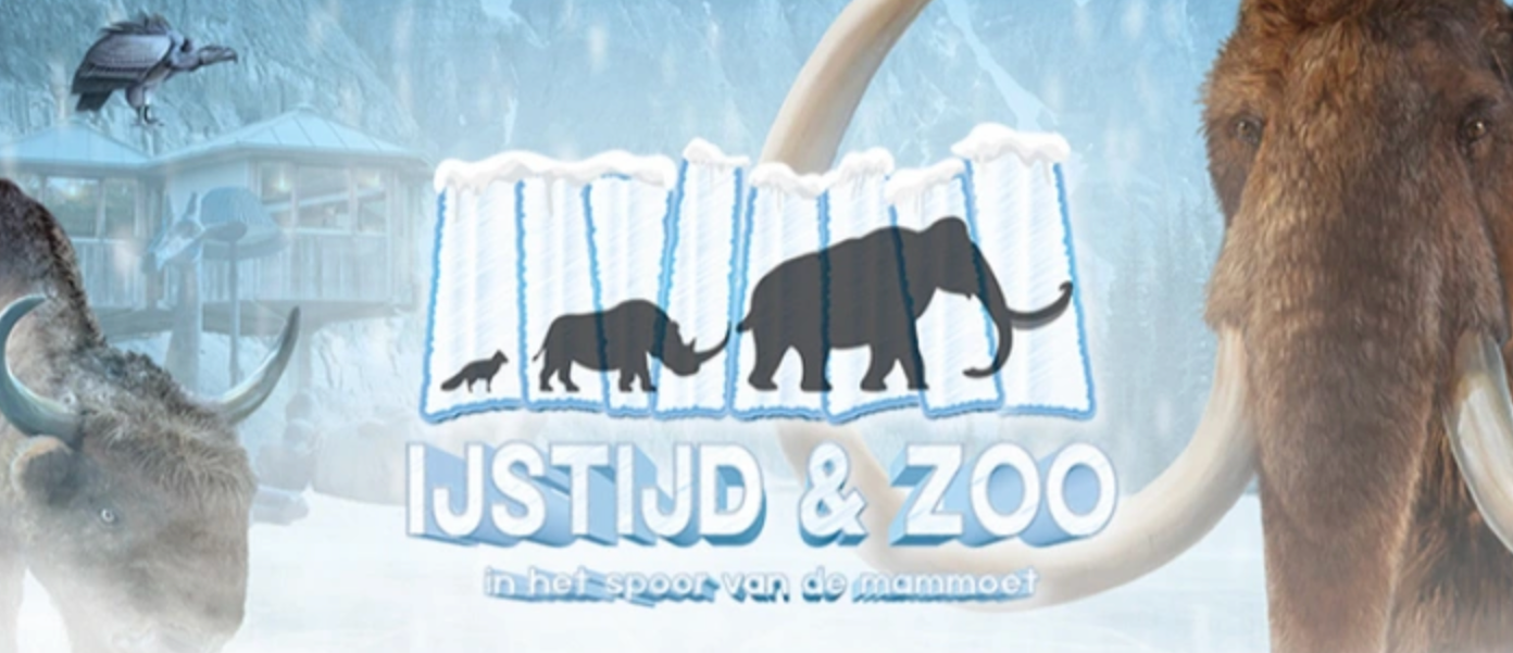 Succes voor Burgers' Zoo: evenement IJstijd & Zoo verlengd ...
