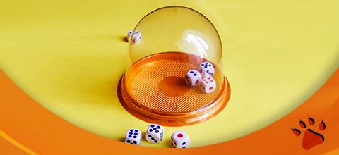 How to Play Sic Bo : Beginners Guide | LeoVegas NZ