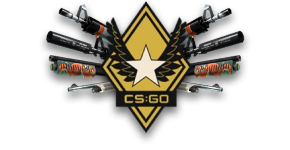 Buy CS:GO Winter Offensive Collection Skins | DMarket