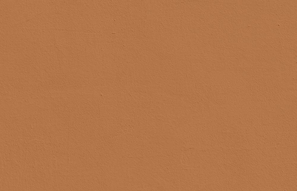 Orange 02: Mid Warm Orange Brown Paint - Matt Paint | Lick