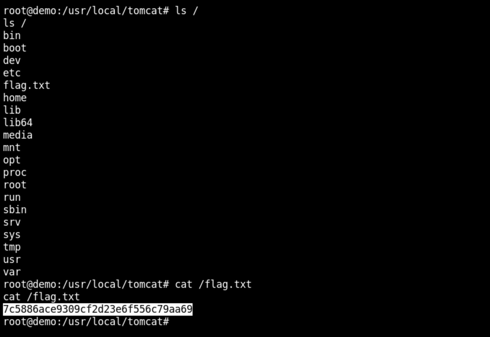 [CVE-2021-21307] Lucee Server Arbitrary File Write
