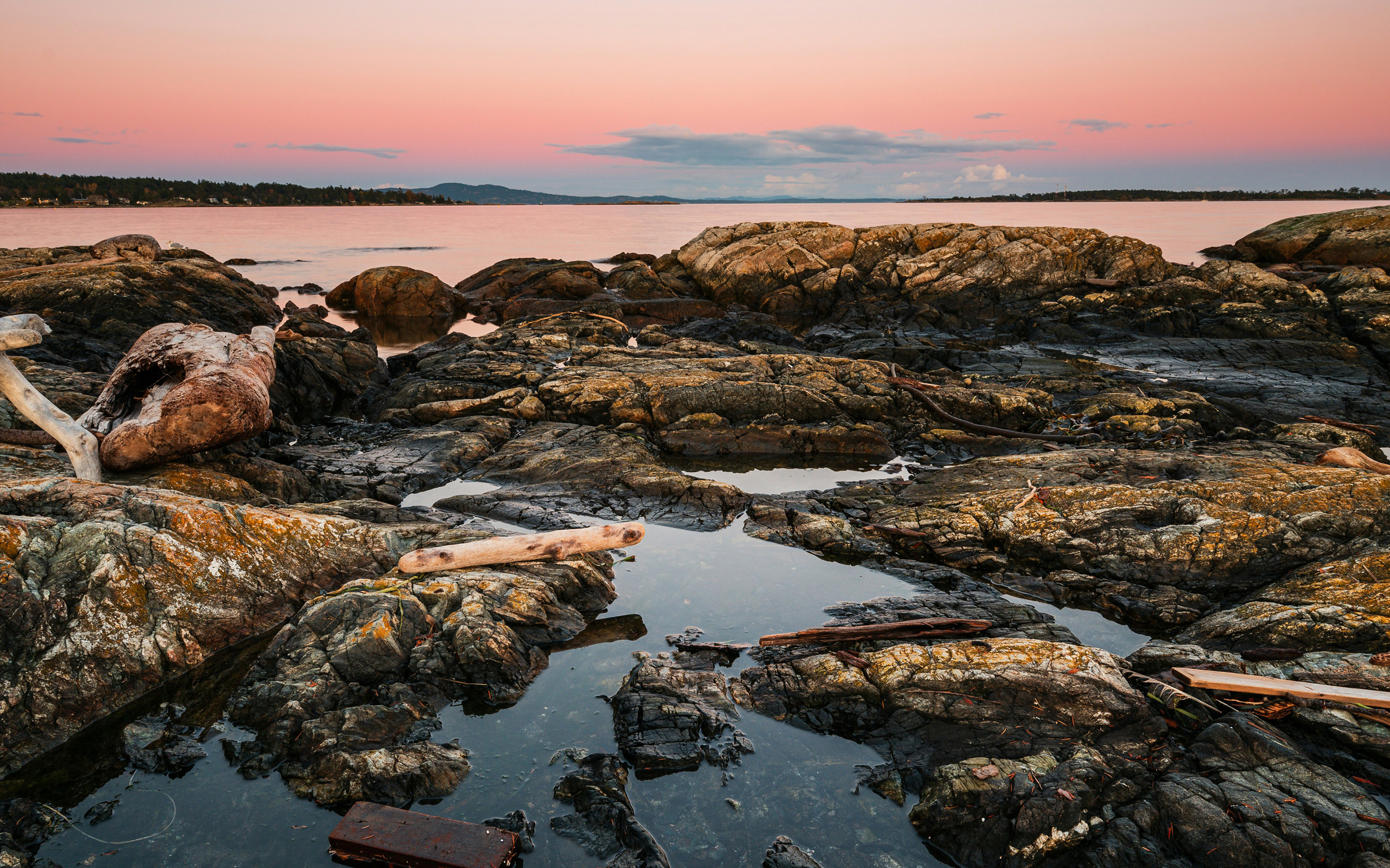 the victoria rennie review | June 2024