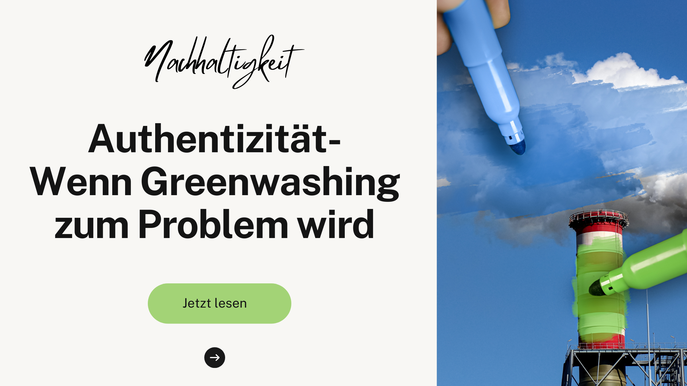 Authentizität: Wenn Greenwashing zum Problem wird | KRAUSS Marketplace