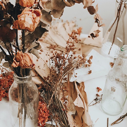 How to Dry Flowers: A Step-by-Step Guide