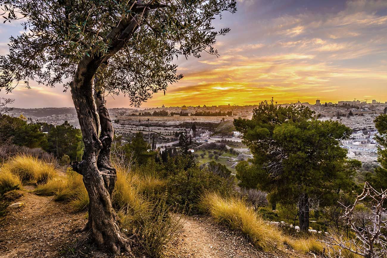 The Roads to Zion | Torah Portions | FFOZ