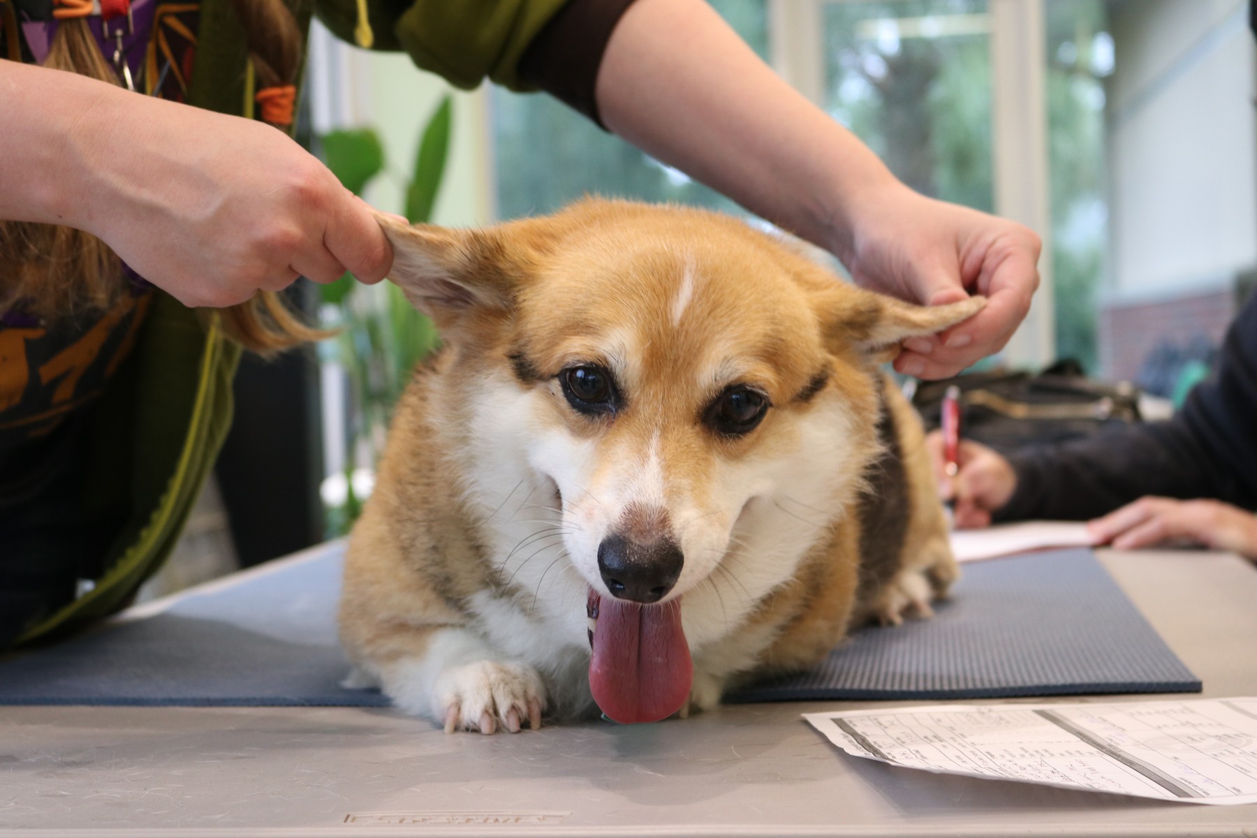 Tui-na - Chi University