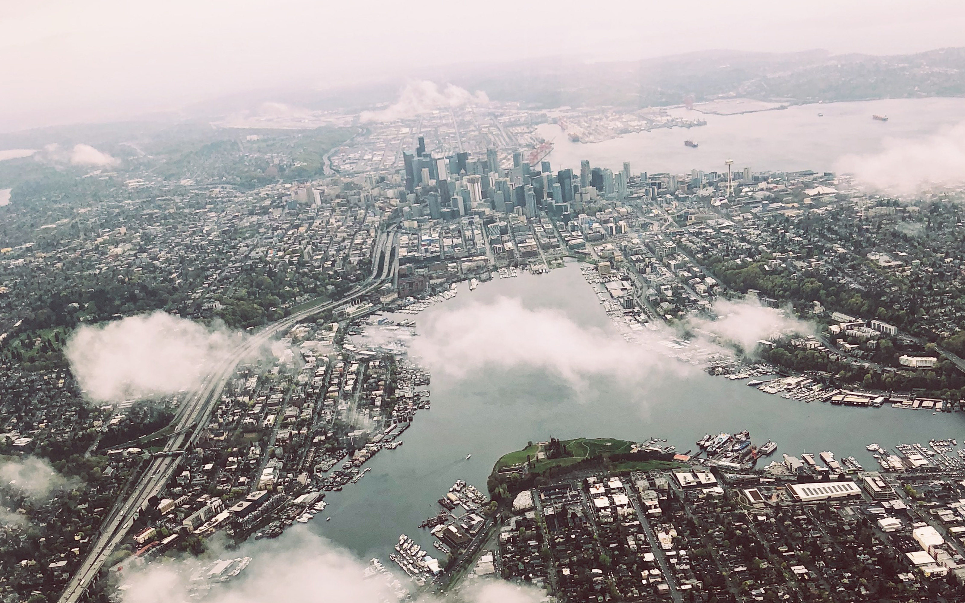 the seattle rennie advance | January 2024
