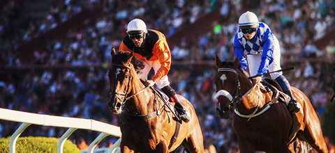 Horse racing blog - betting guides, tips & racecards | LeoVegas