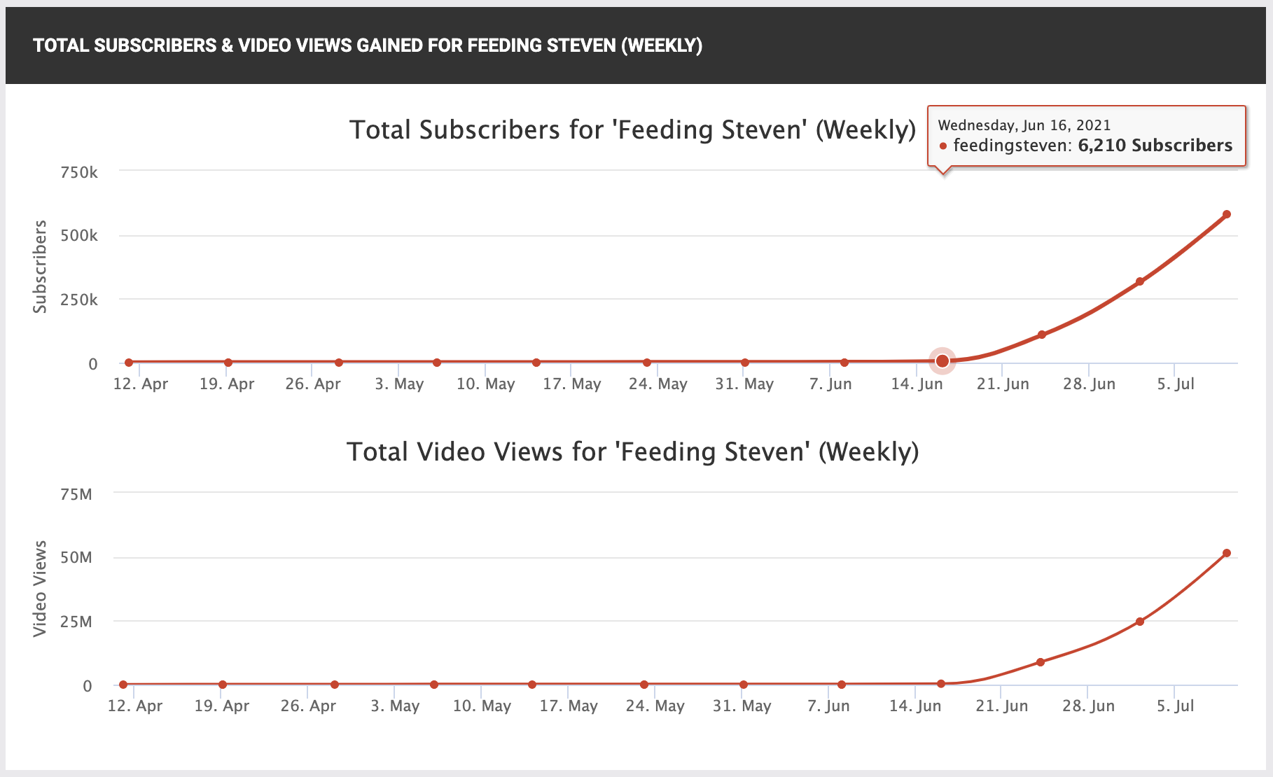 Feeding Steven: Die Möwe mit 300 Millionen Views und eigenem Merch