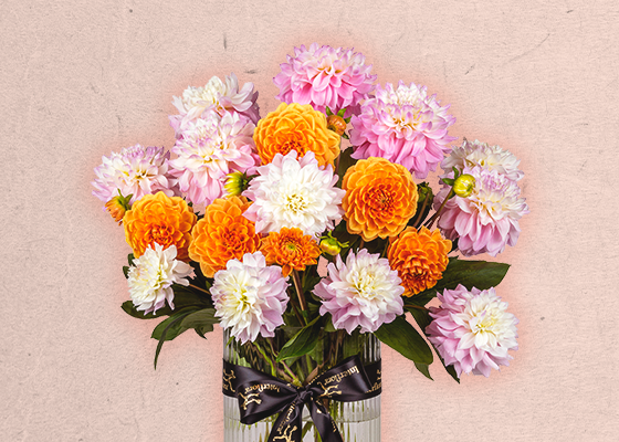 All Seasonal Flowers by Month in Australia - Interflora