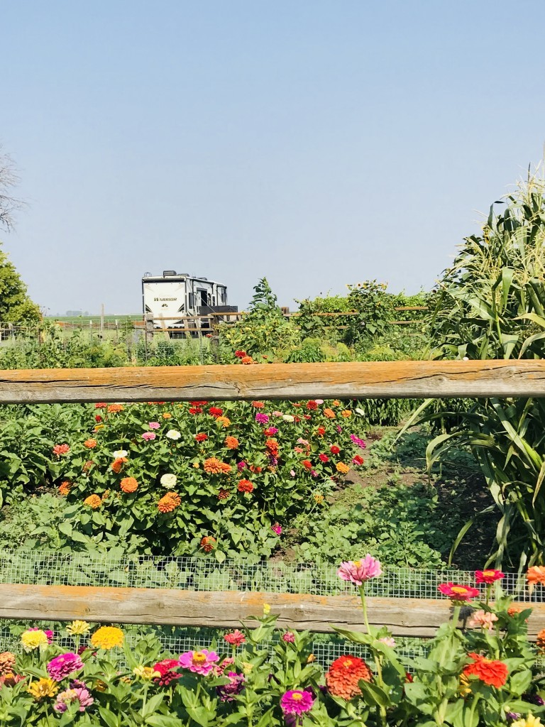 Discovering 4e Winery