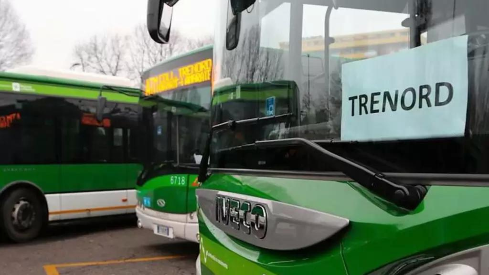 Le news di Luceverde