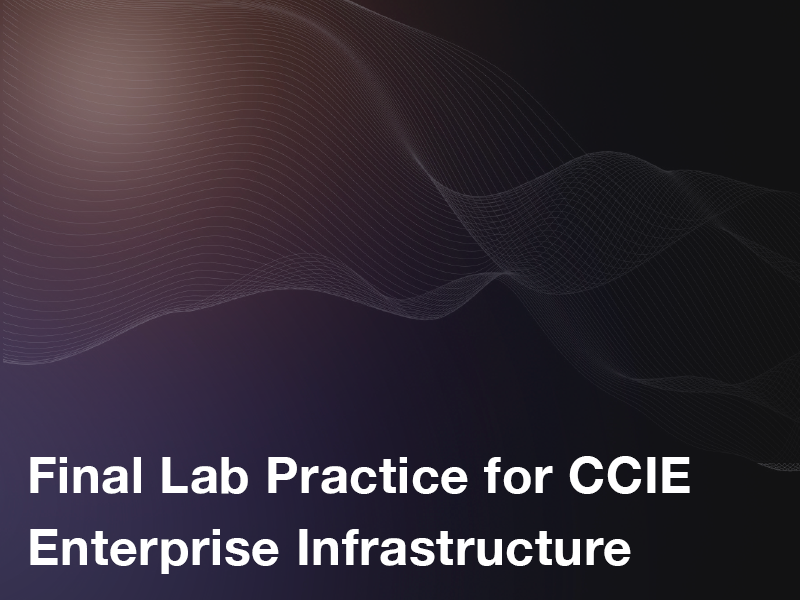 Final Lab Practice for CCIE Enterprise Infrastructure