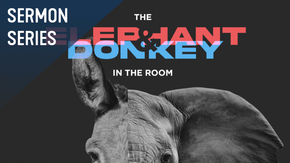 The Elephant & Donkey in the Room Sermon Series