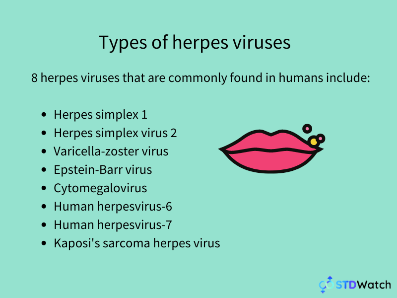 types-of-herpes