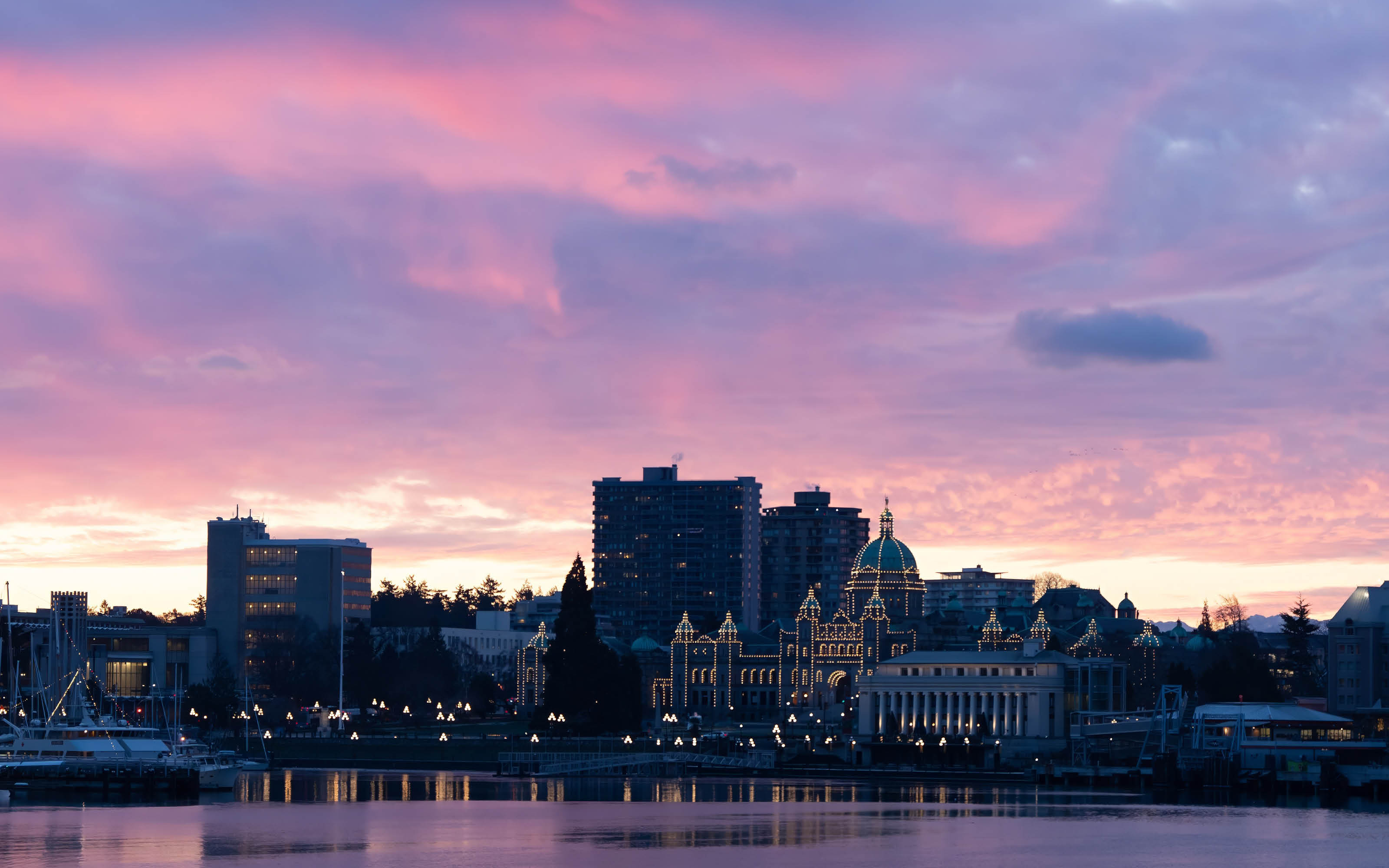 the victoria rennie advance | January 2025