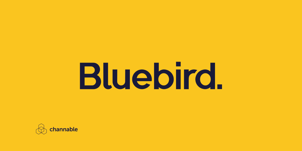 Success story: Bluebird Media's data feed management success