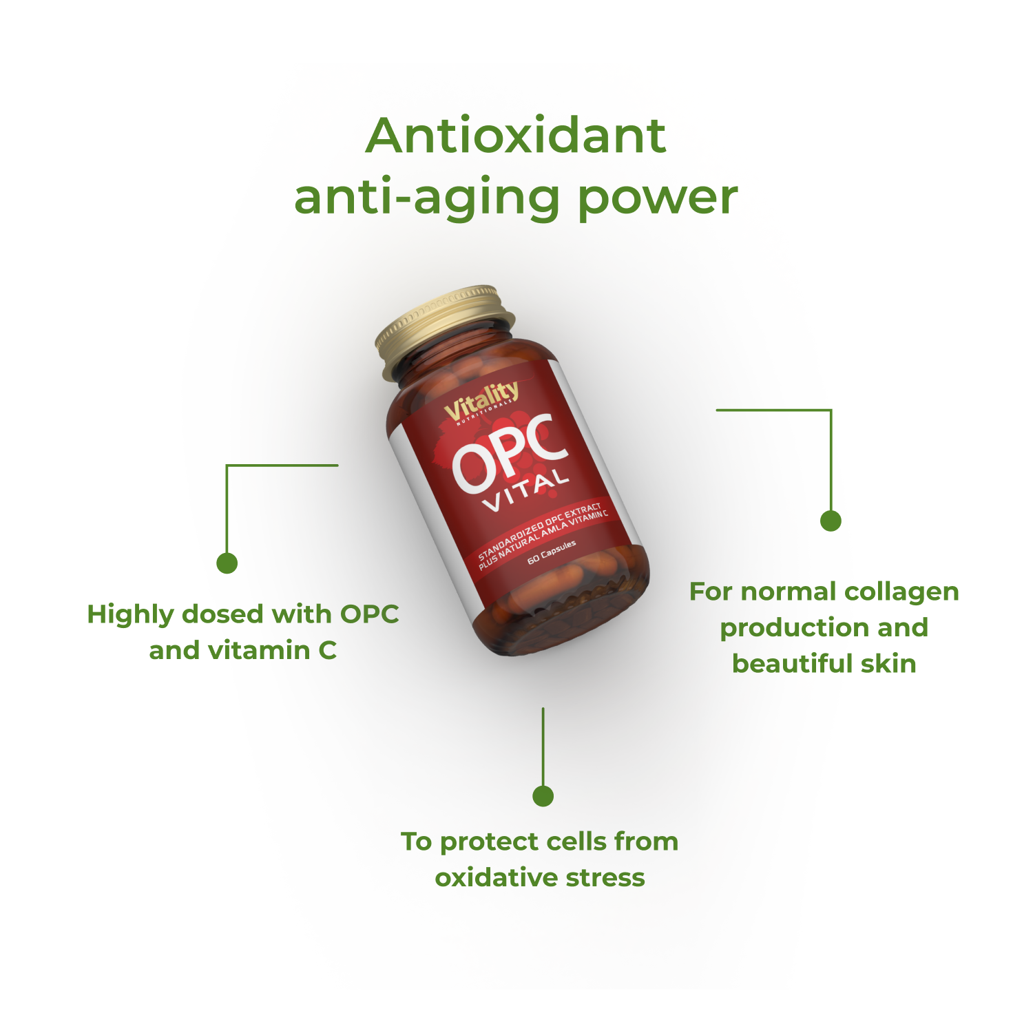 Order OPC Vital | VitaminExpress